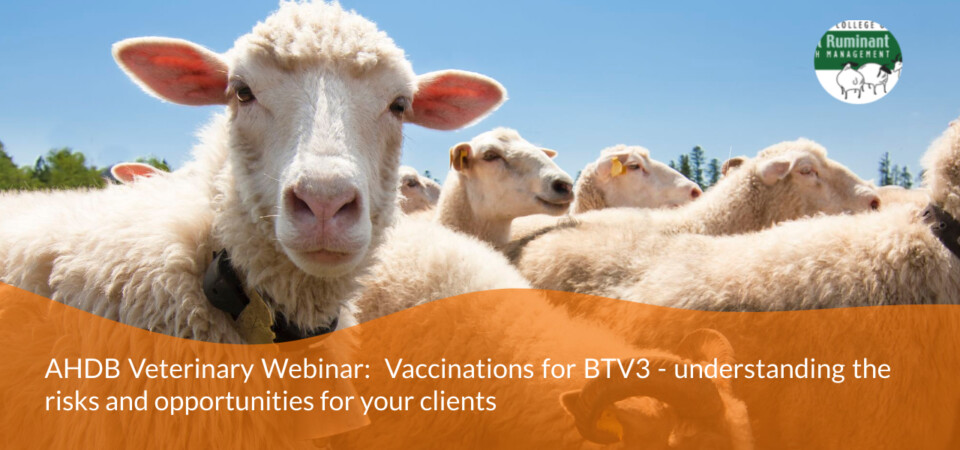AHDB Webinar – Vaccinations for BTV3 – understanding the risks and ...