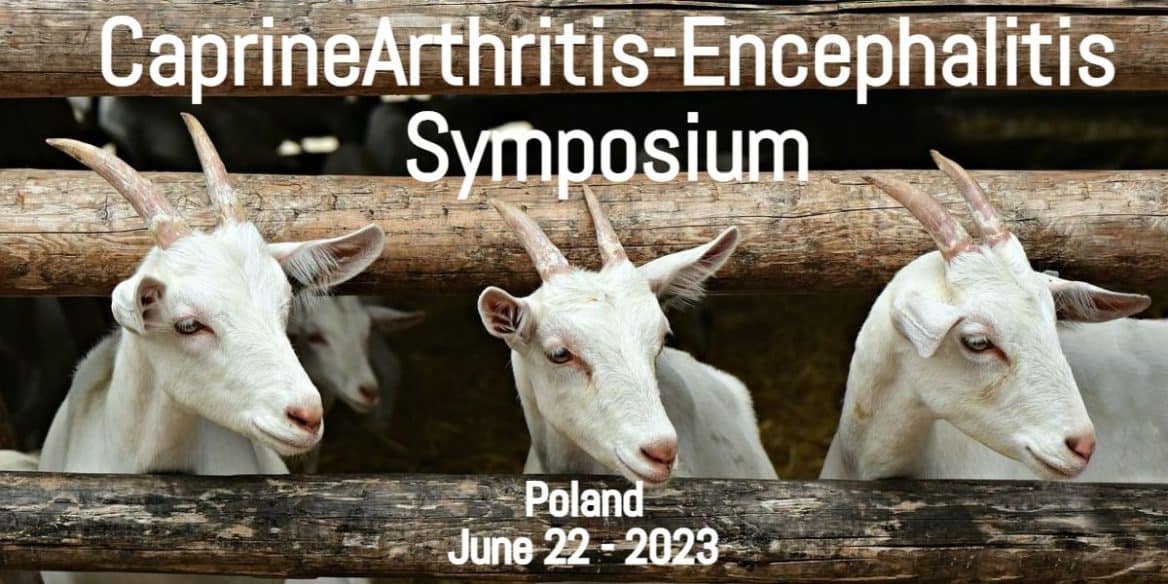 Caprine Arthritis-Encephalitis – Symposium – ECSRHM